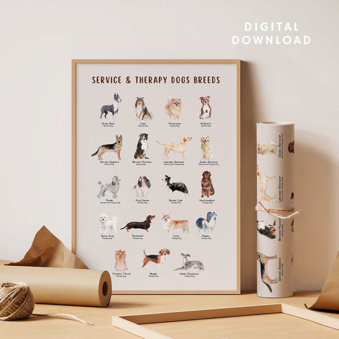 Watercolor Service & Therapy Dog Breeds Print, Educational Activities ...
