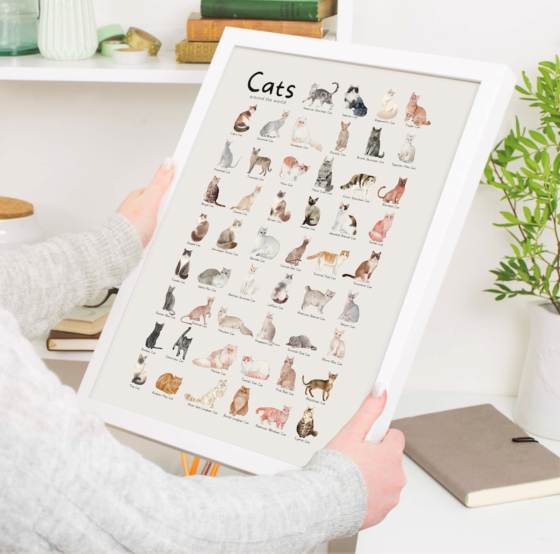 Downloadable Cat Breeds Printable Poster, 52 Cat Breeds Infographic ...