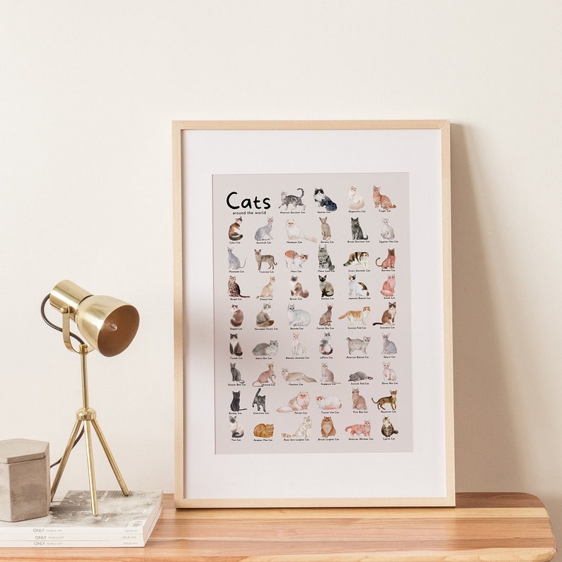 Downloadable Cat Breeds Printable Poster, 52 Cat Breeds Infographic ...