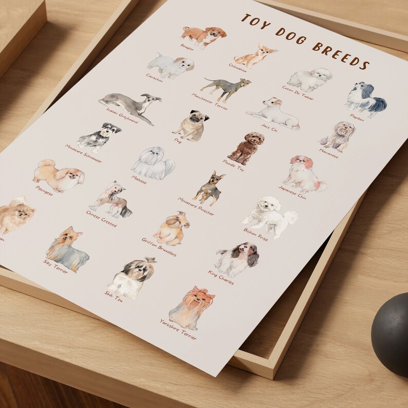 Digital Download Toy Dog Breeds Poster, Breeds Chart Print, Printable ...