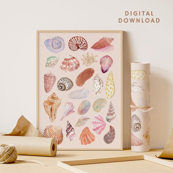 Seashell Wall Decor - Etsy