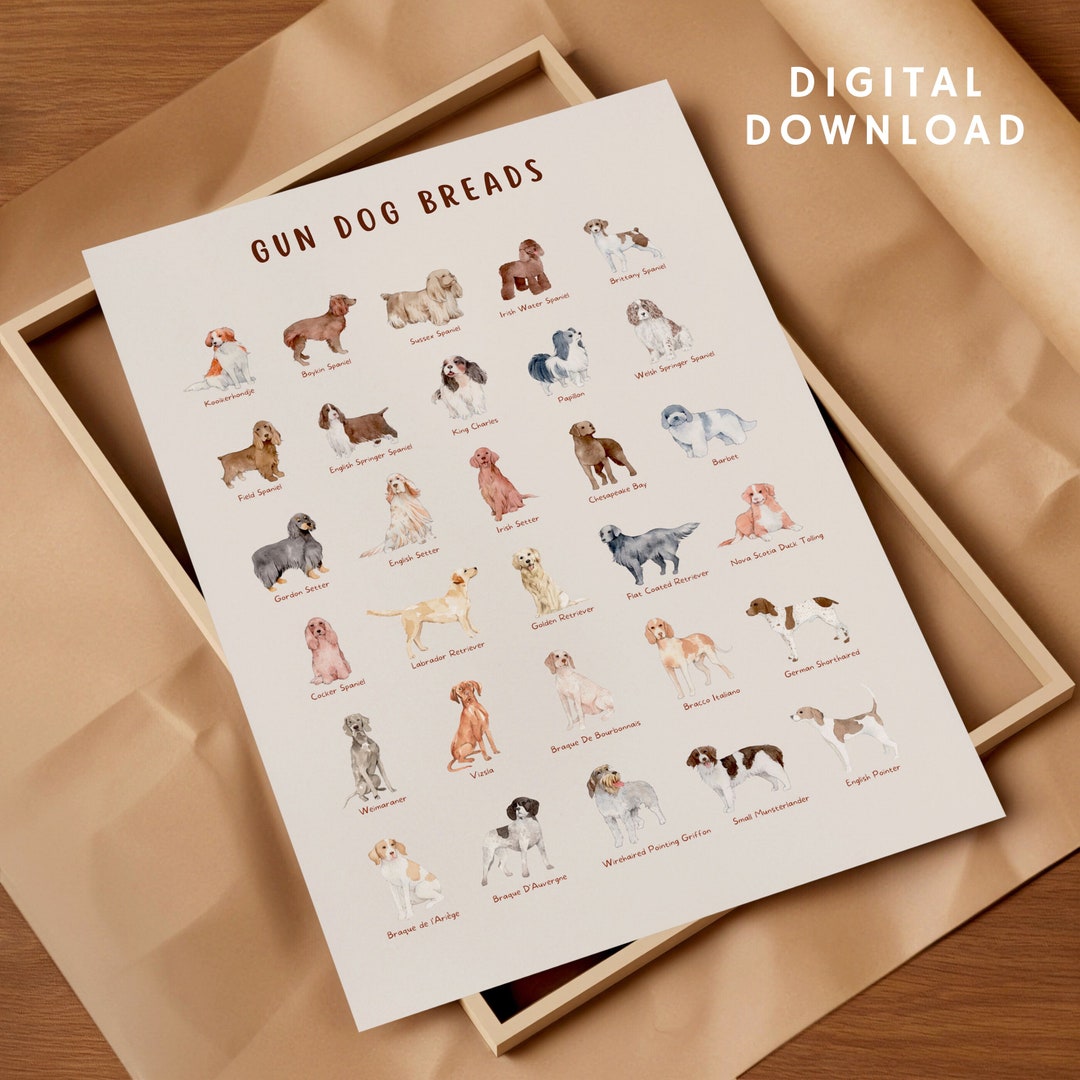 Digital Download Gun Dog Breeds Poster, Breeds Chart Print, Printable ...