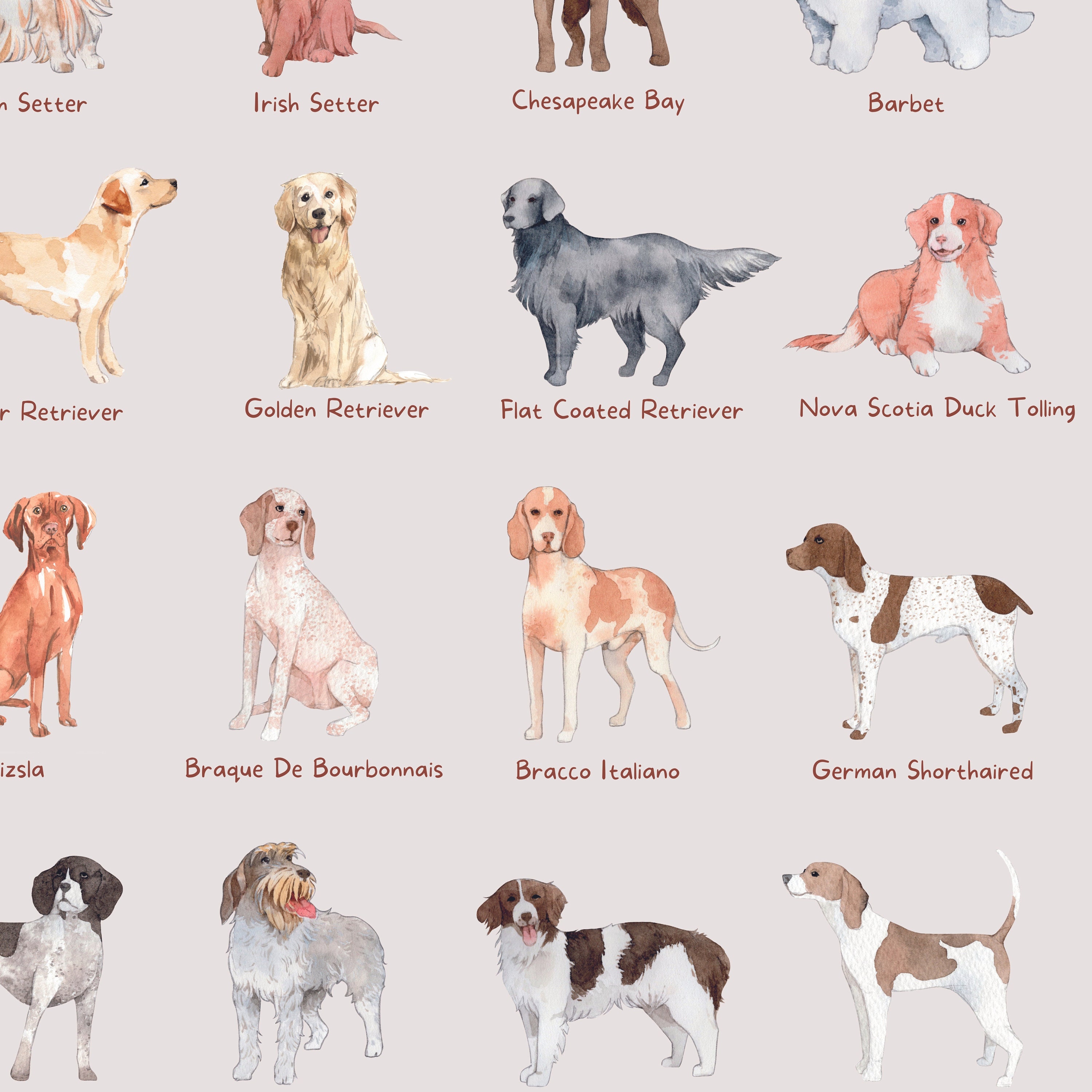 Downloadable Watercolor Dog Breed Poster Gundog Printable Wall Art, Dog ...