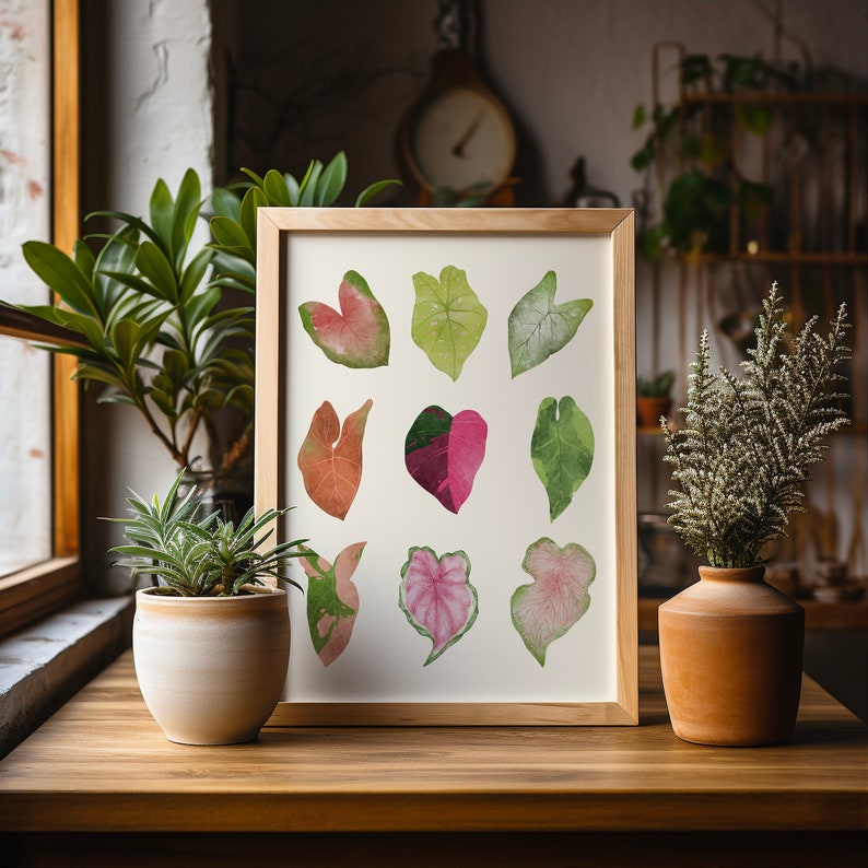 Printable Pink and Green Watercolor Caladium Leaf Poster, Botany Poster ...