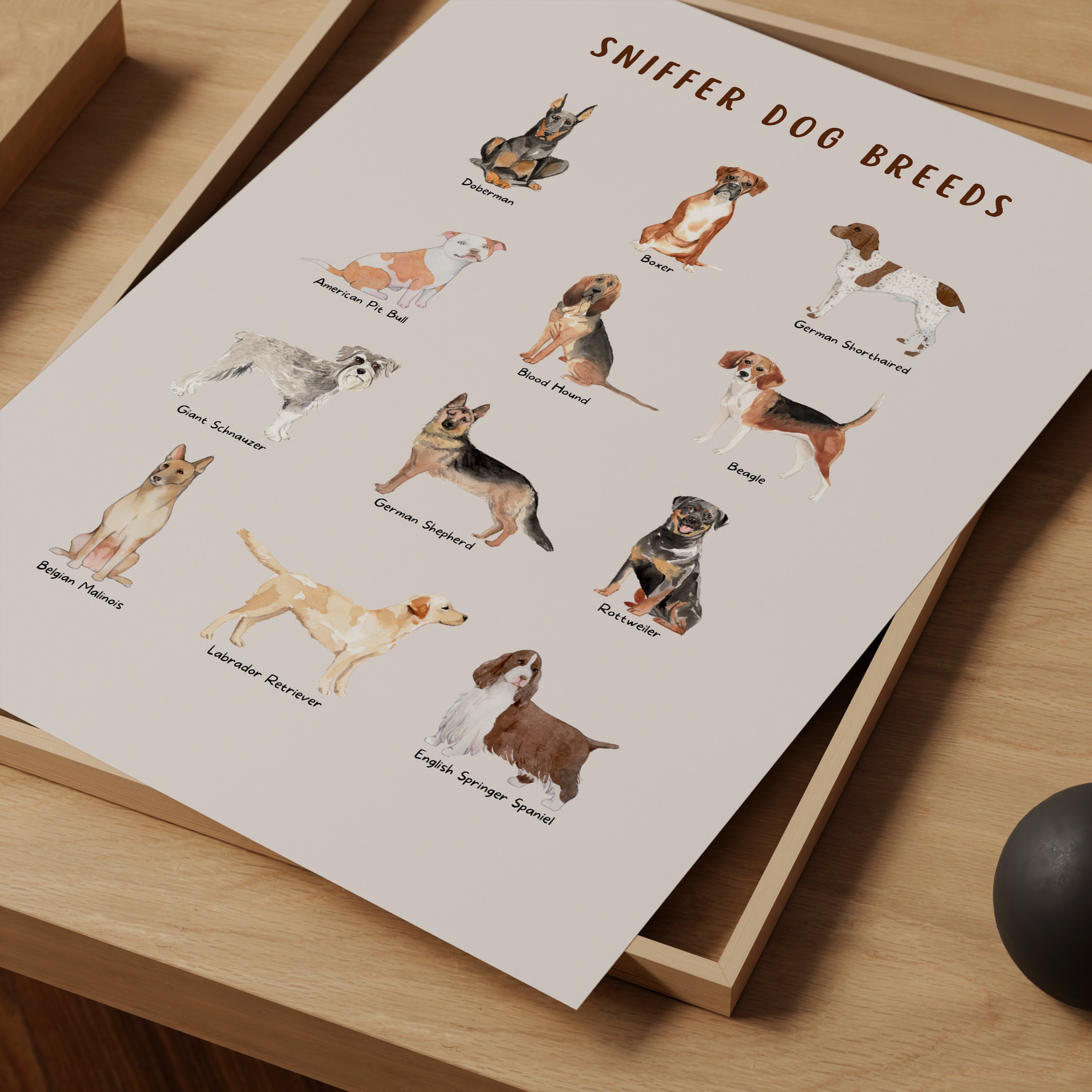 Digital Download Sniffer Dog Breeds Print Wall Art Print - Etsy