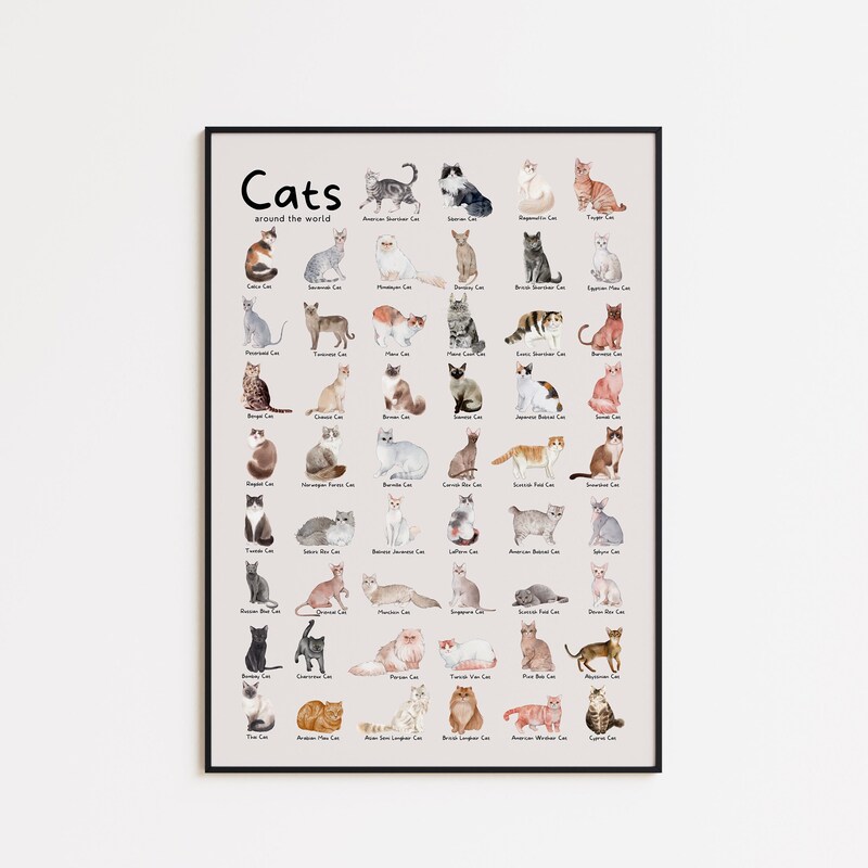 Poster Cat - Etsy
