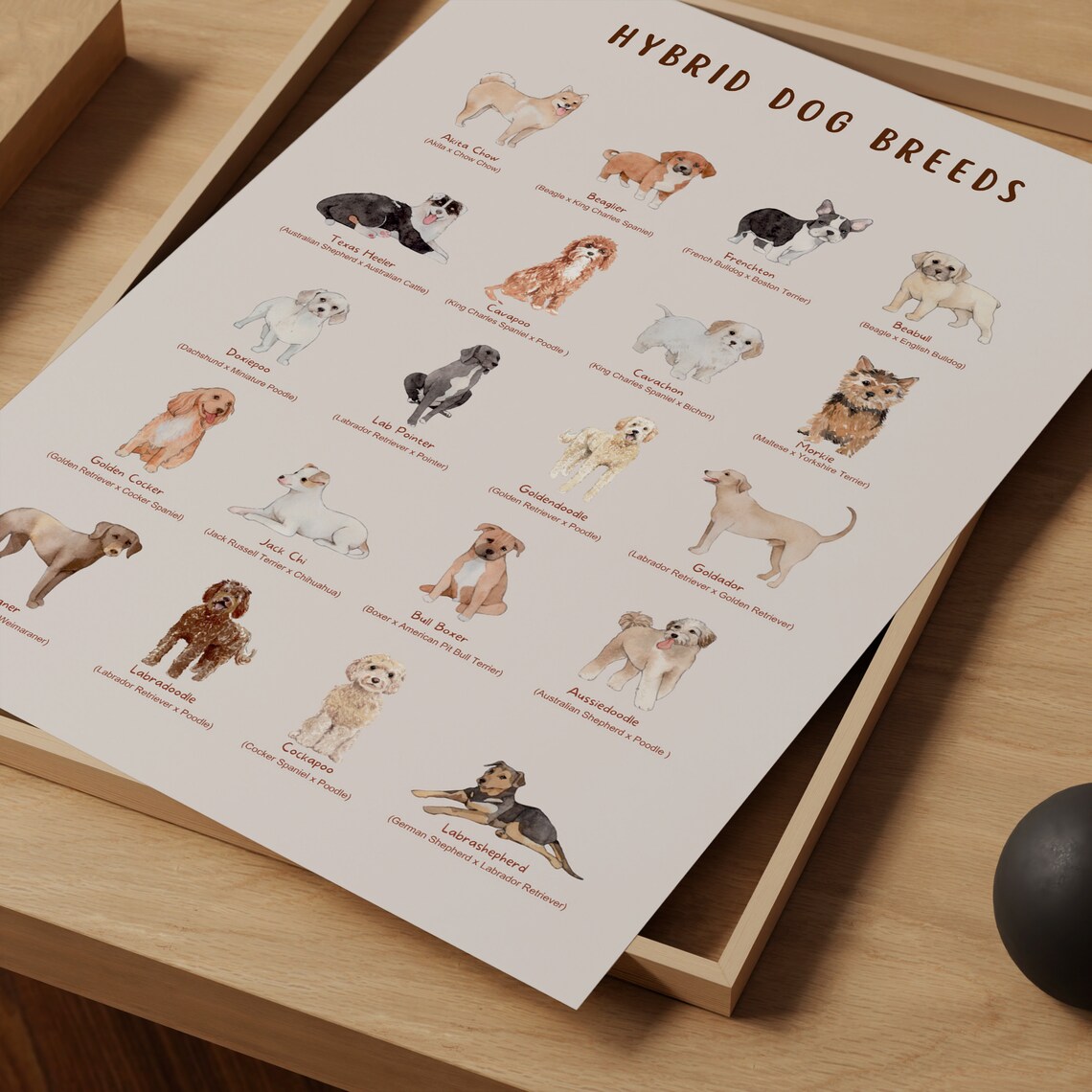 Hybrid Dog Breeds Poster Infographic Dog Wall Art Print - Etsy