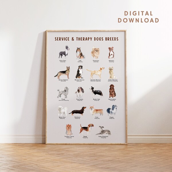 Therapy Dog - Etsy