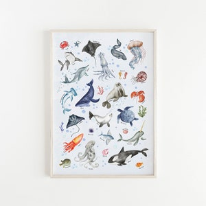 Sea Animals Poster, Ocean Animals Wall Décor, Marine Animals Print ...