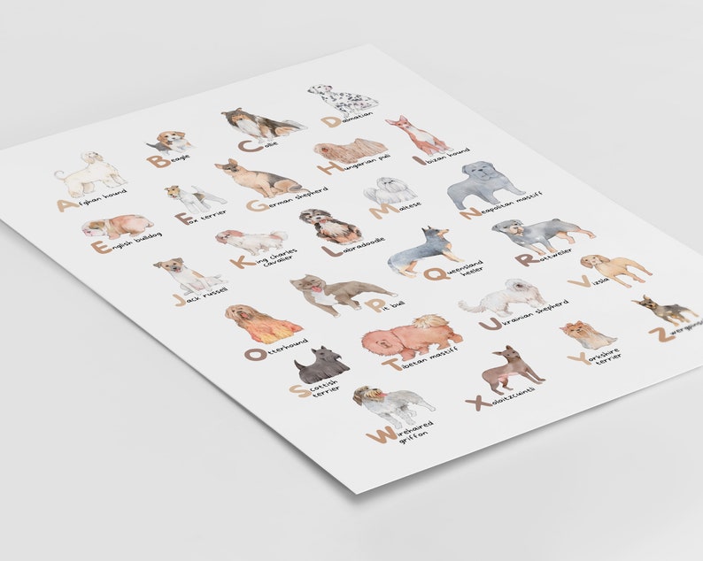 Dog Alphabet Print - Printable A to Z Dog Breeds Poster - ABC Dog ...
