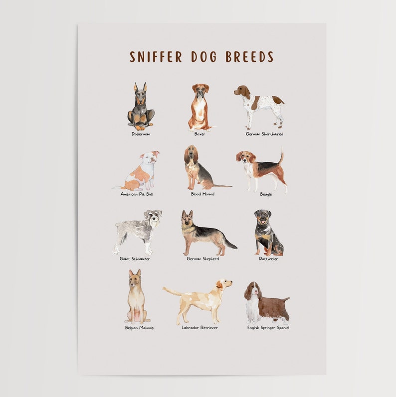 Instant Download Watercolor Sniffer Dog Breed Poster, Education Posters ...
