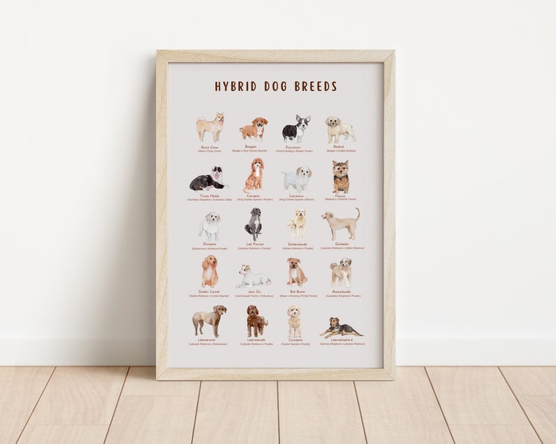 Hybrid Dog Breeds Poster, Educational Prints for Kids, Montessori ...