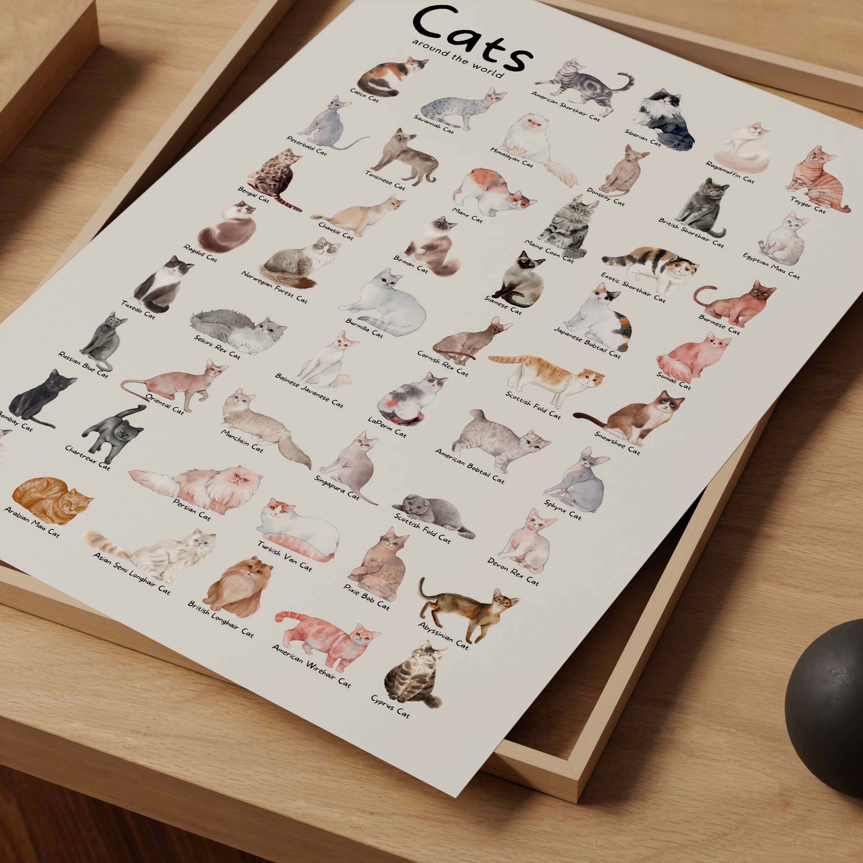Downloadable Cat Breeds Printable Poster, 52 Cat Breeds Infographic ...