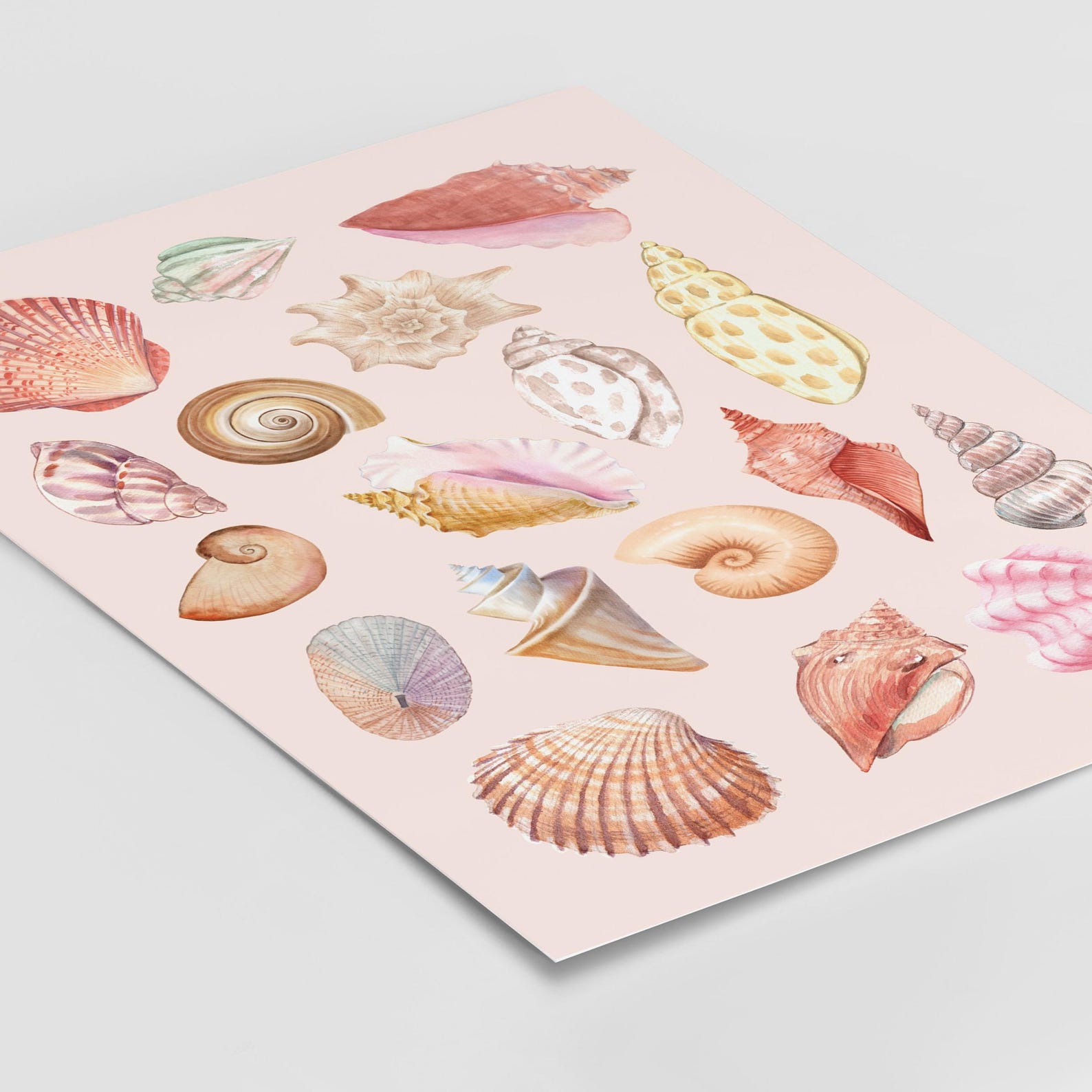 Watercolor Seashell Digital Art Print Illustration, Printable Wall Art ...