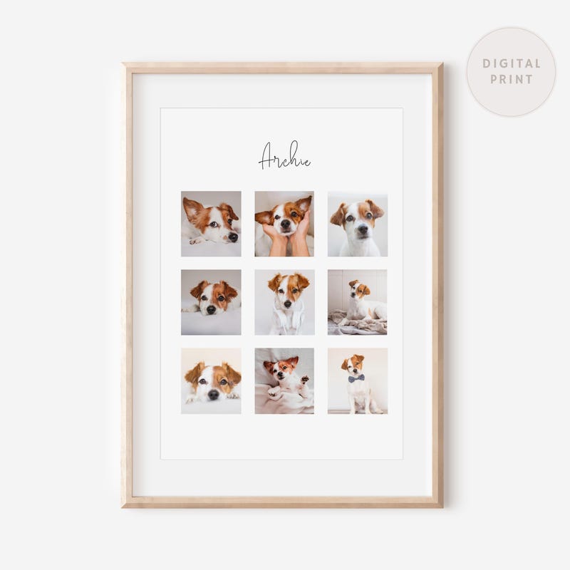 Dog Photo Collage - Etsy
