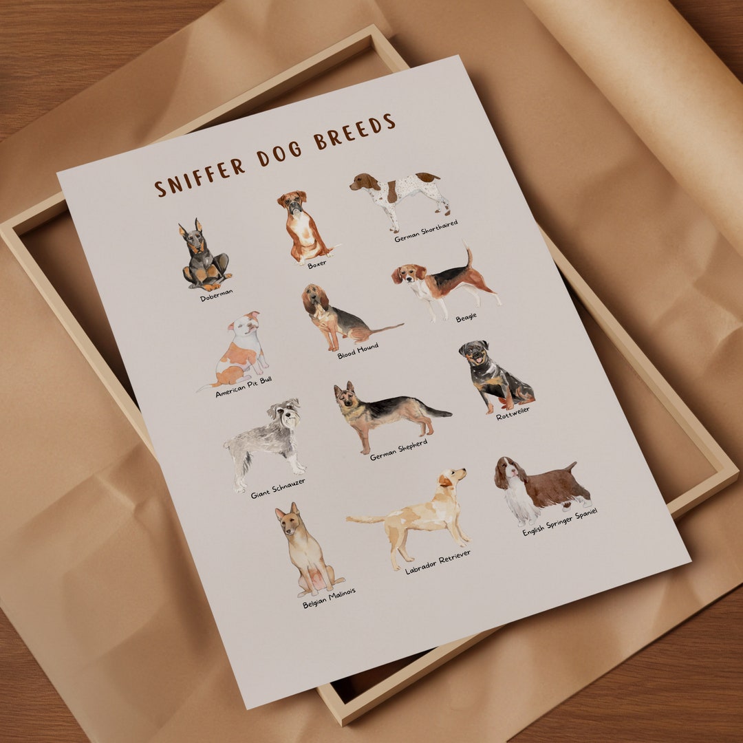 Digital Download Sniffer Dog Breeds Print Wall Art Print - Etsy