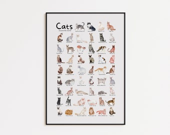 Sign Language Black Cat I Talk About in Poster, Funny Black Cat Poster ...