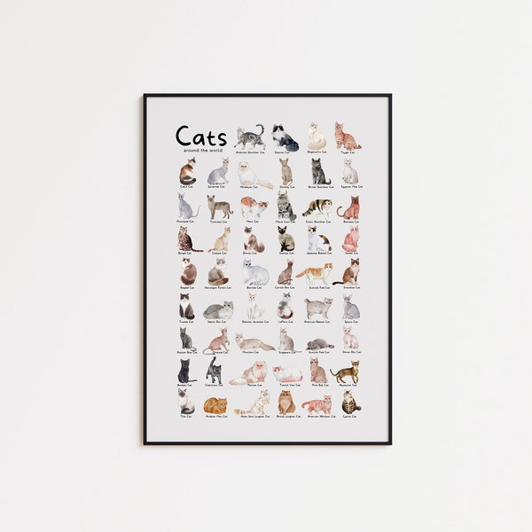Poster Cat - Etsy