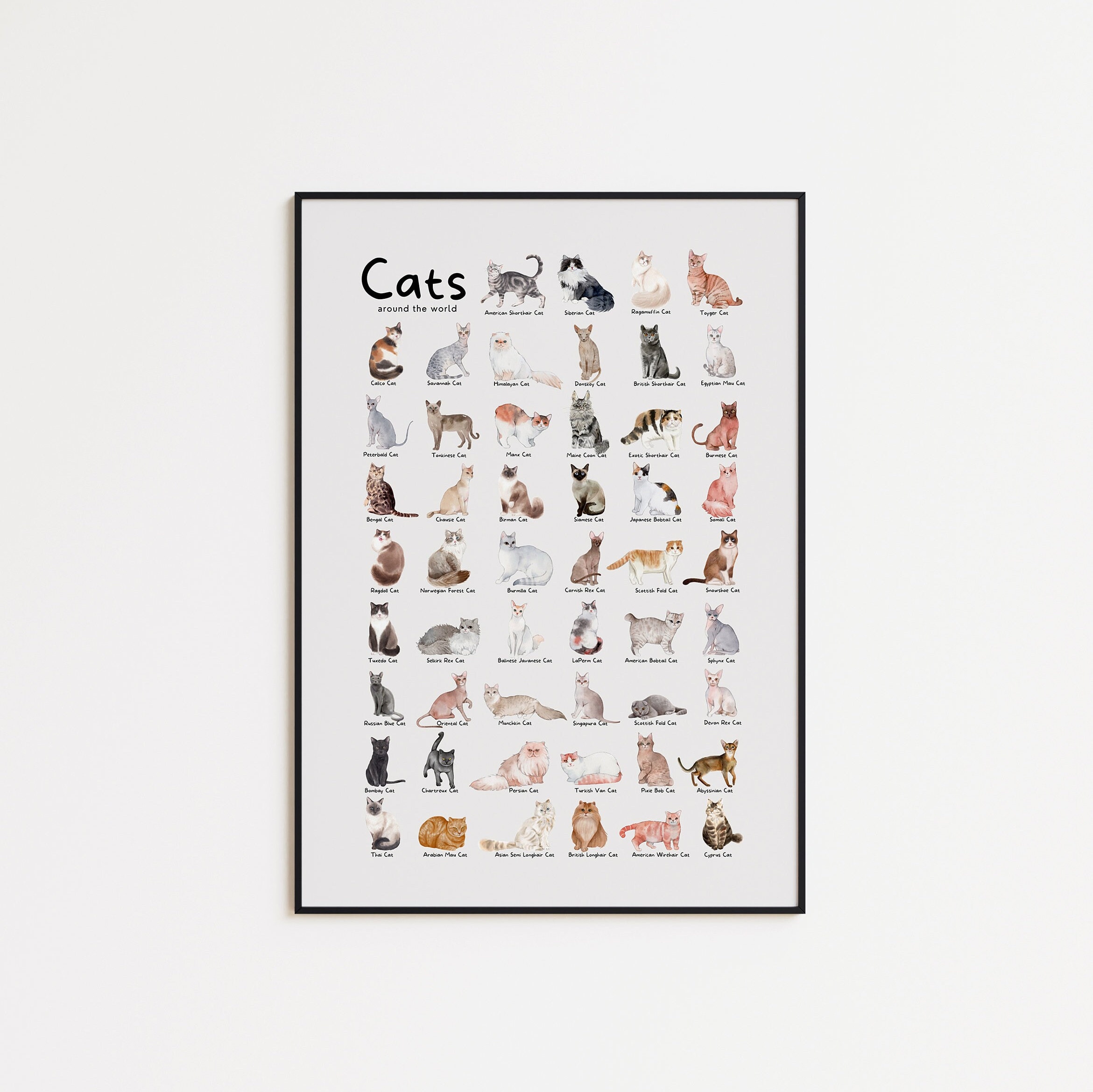 Downloadable Cat Breeds Printable Poster, 52 Cat Breeds Infographic ...