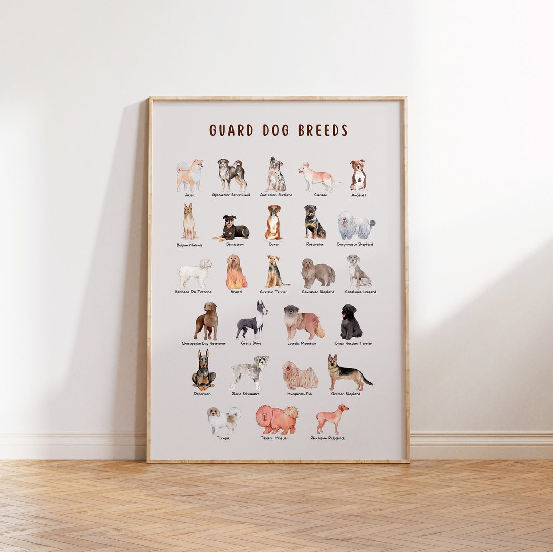 Printable Guard Dog Breeds Print, Infographic Collection Dog Poster ...