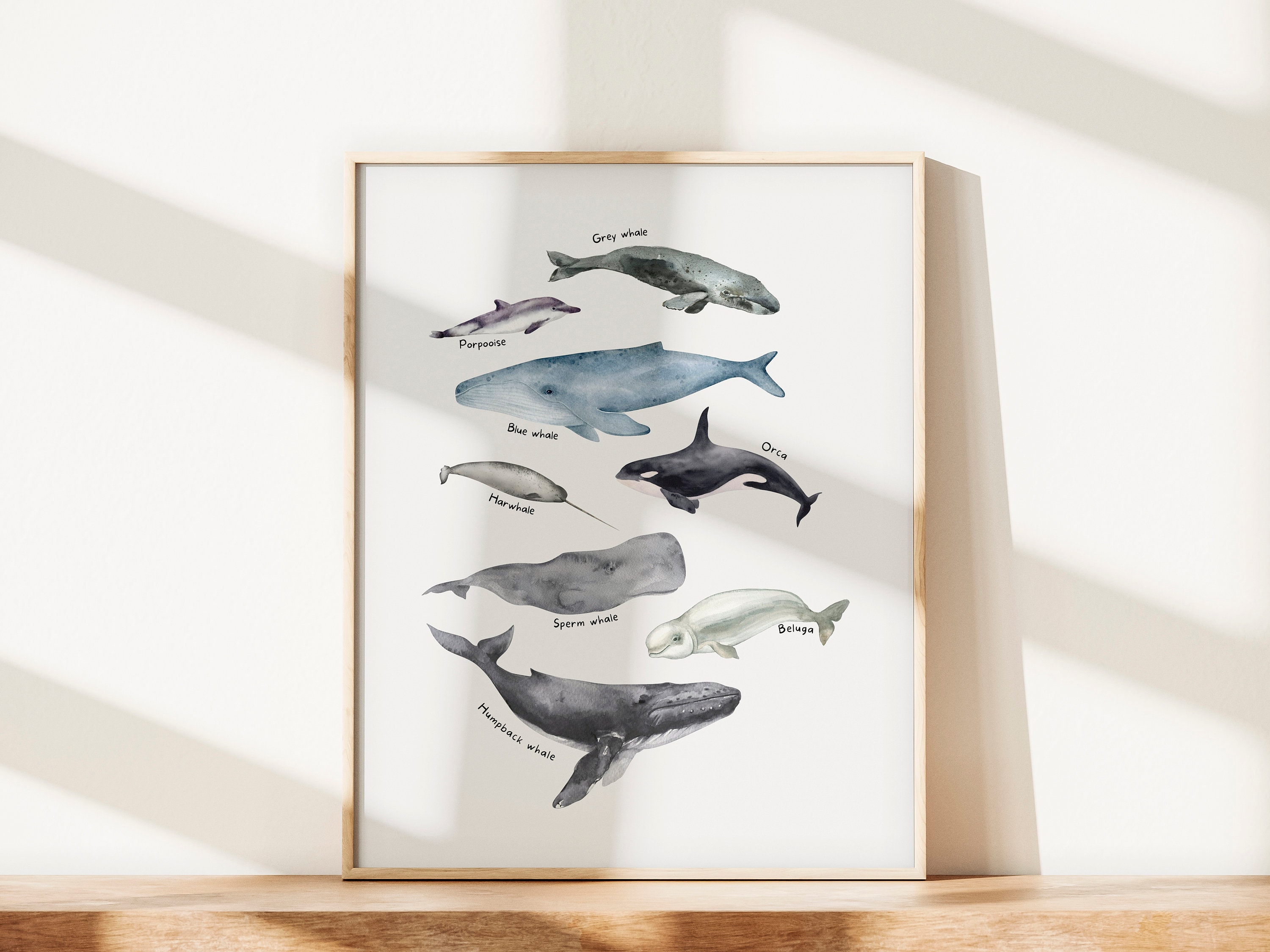 Whale Print, Ocean Mammals Poster, Printable Wall Art for Kids ...