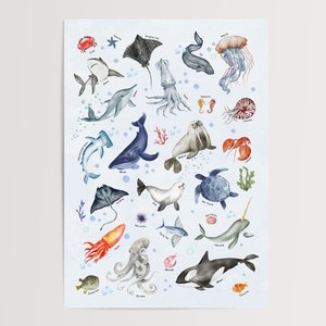 Sea Animals Poster, Ocean Animals Wall Décor, Marine Animals Print ...