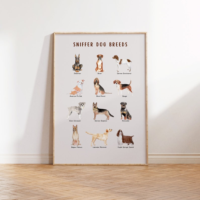Instant Download Watercolor Sniffer Dog Breed Poster, Education Posters ...