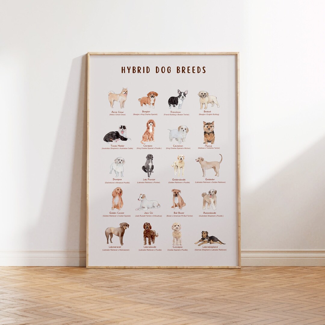 Hybrid Dog Breeds Poster, Educational Prints for Kids, Montessori ...