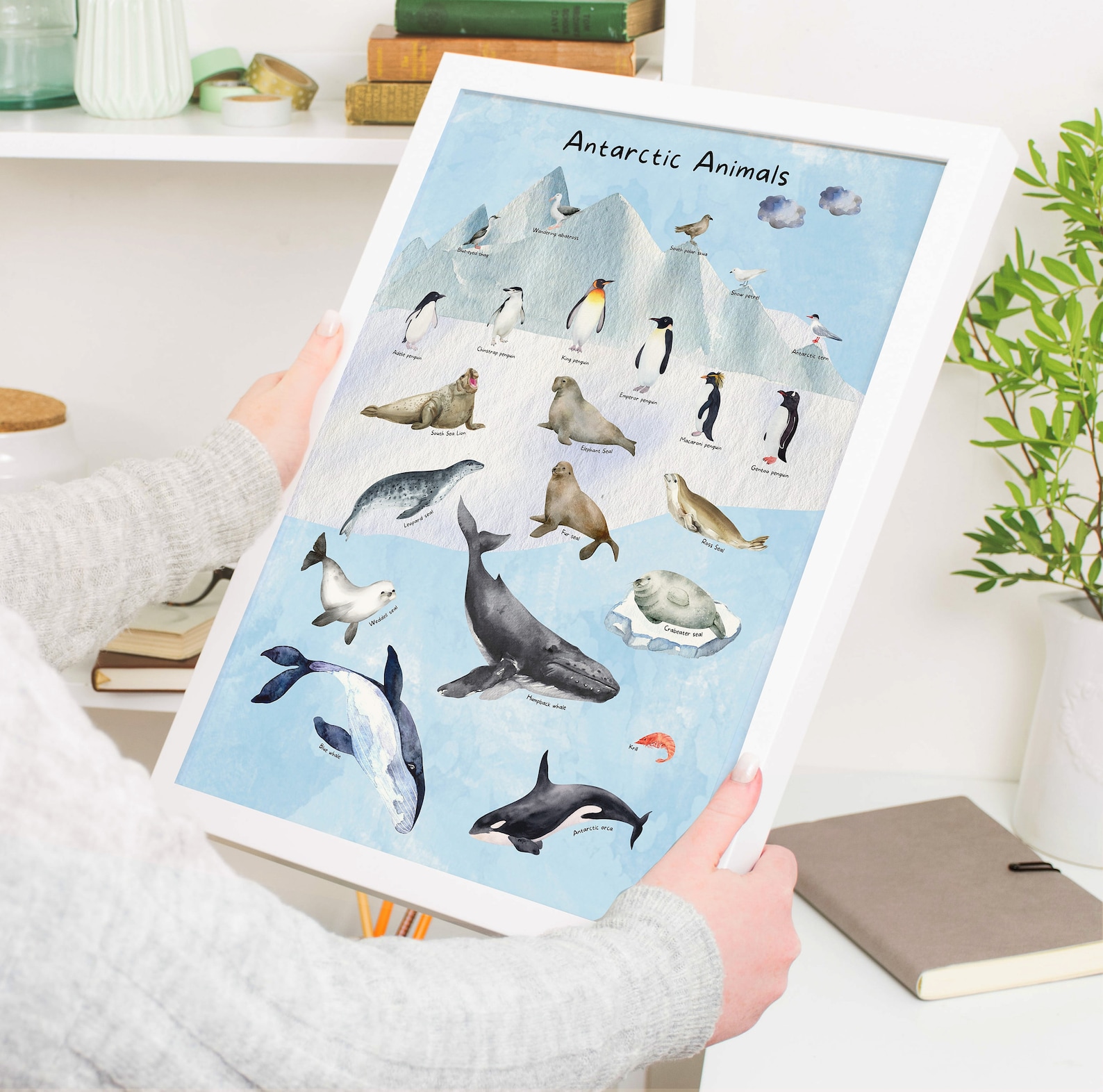 Digital Download Watercolor Antarctic Animals Species Poster, Printable ...