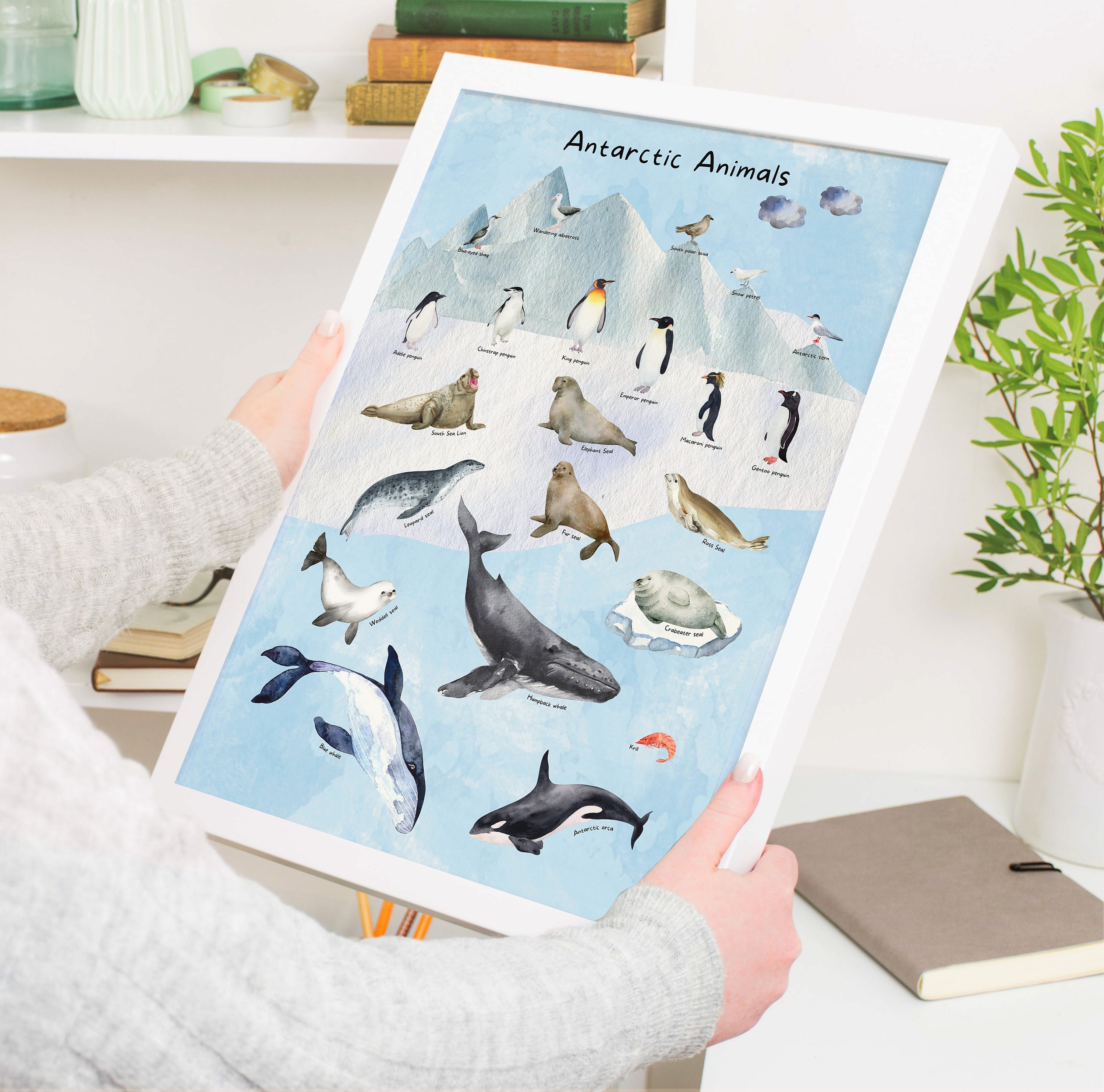Digital Download Watercolor Antarctic Animals Species Poster, Printable ...