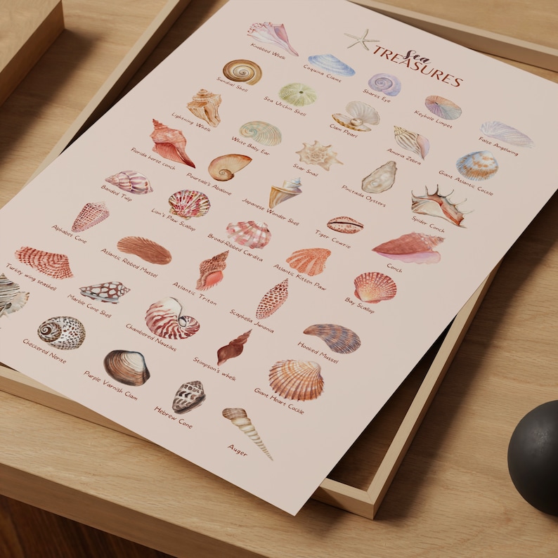 Digital Download Watercolor Seashell Print - Seashell Collection With ...