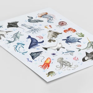 Sea Animals Poster, Ocean Animals Wall Décor, Marine Animals Print ...