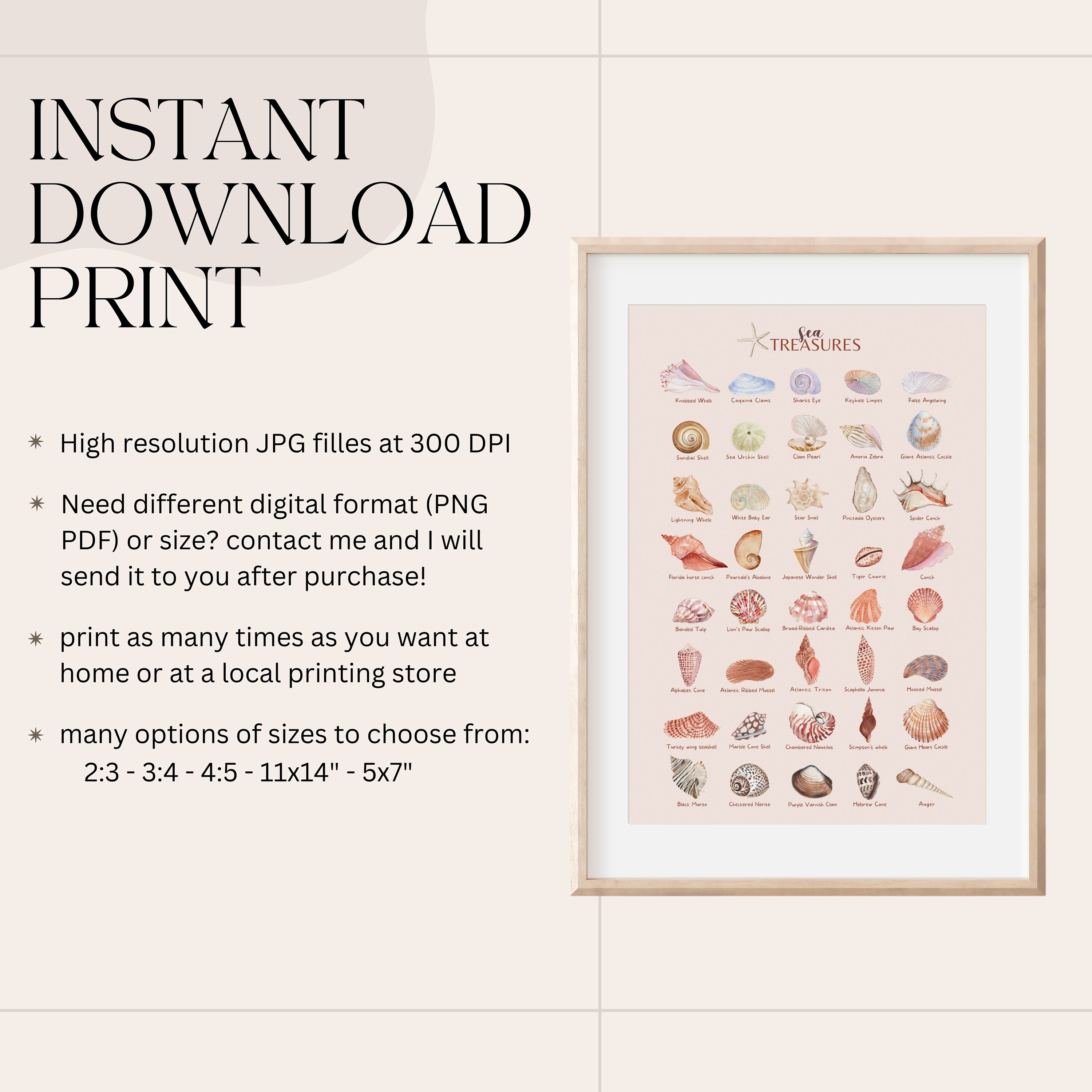 Digital Download Watercolor Seashell Print - Seashell Collection With ...