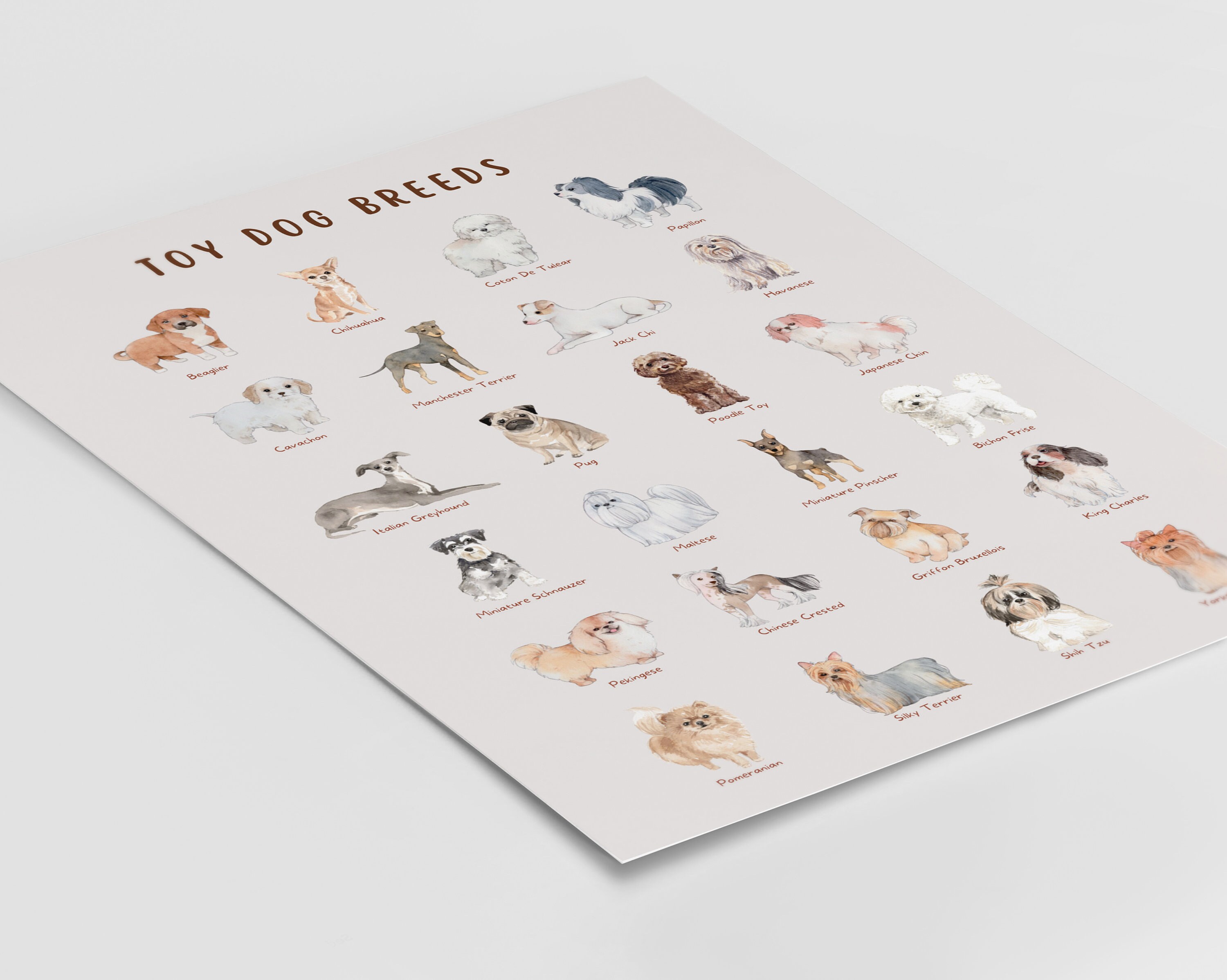 Digital Download Toy Dog Breeds Poster, Breeds Chart Print, Printable ...