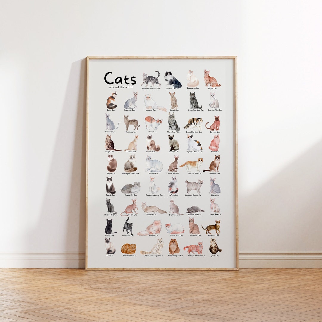 Cat Breeds Print Cat Poster Cat Breeds Chart Gift for Cat Lovers Cats ...