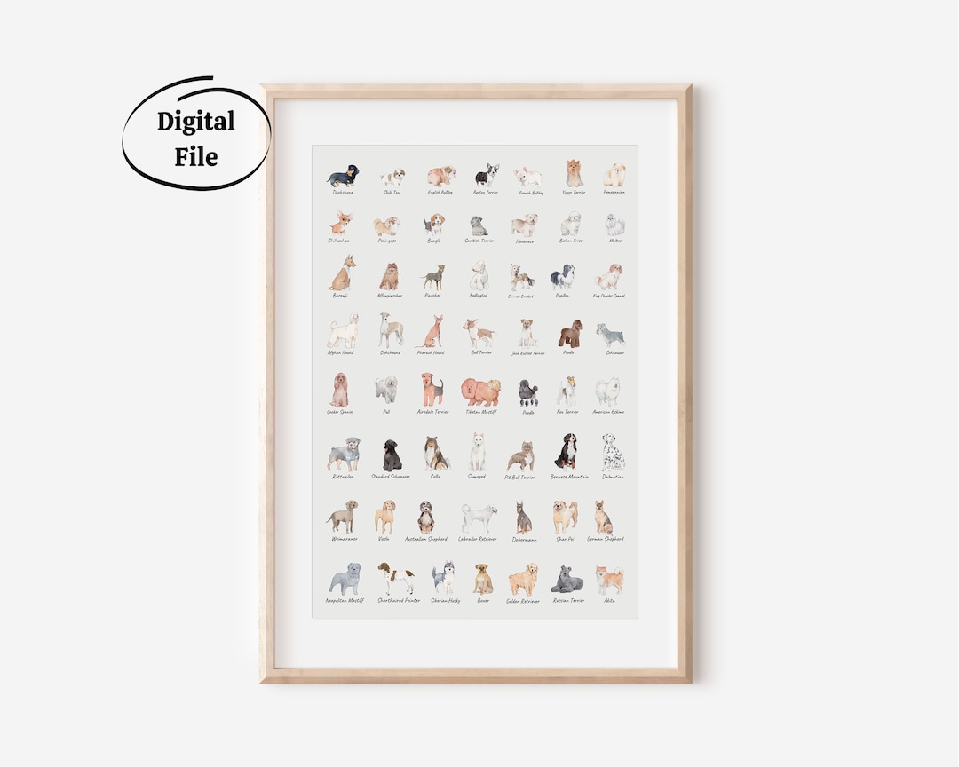 Downloadable Dog Breeds Print- Digital File, Printable Dog Wall Art ...