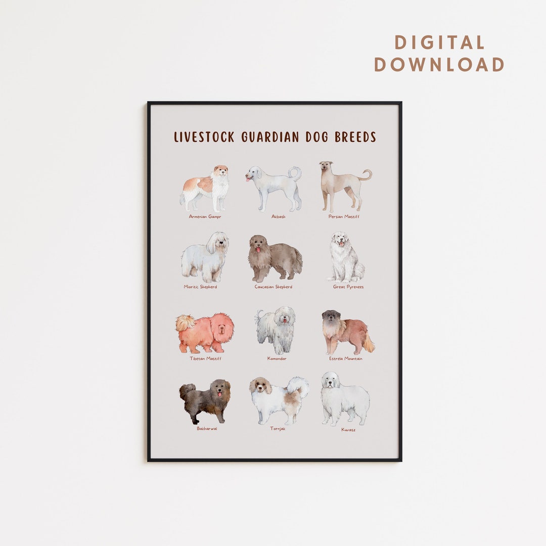 Types of Livestock Guardian Dog Breeds Poster, Gift for Dog Lovers, Dog ...