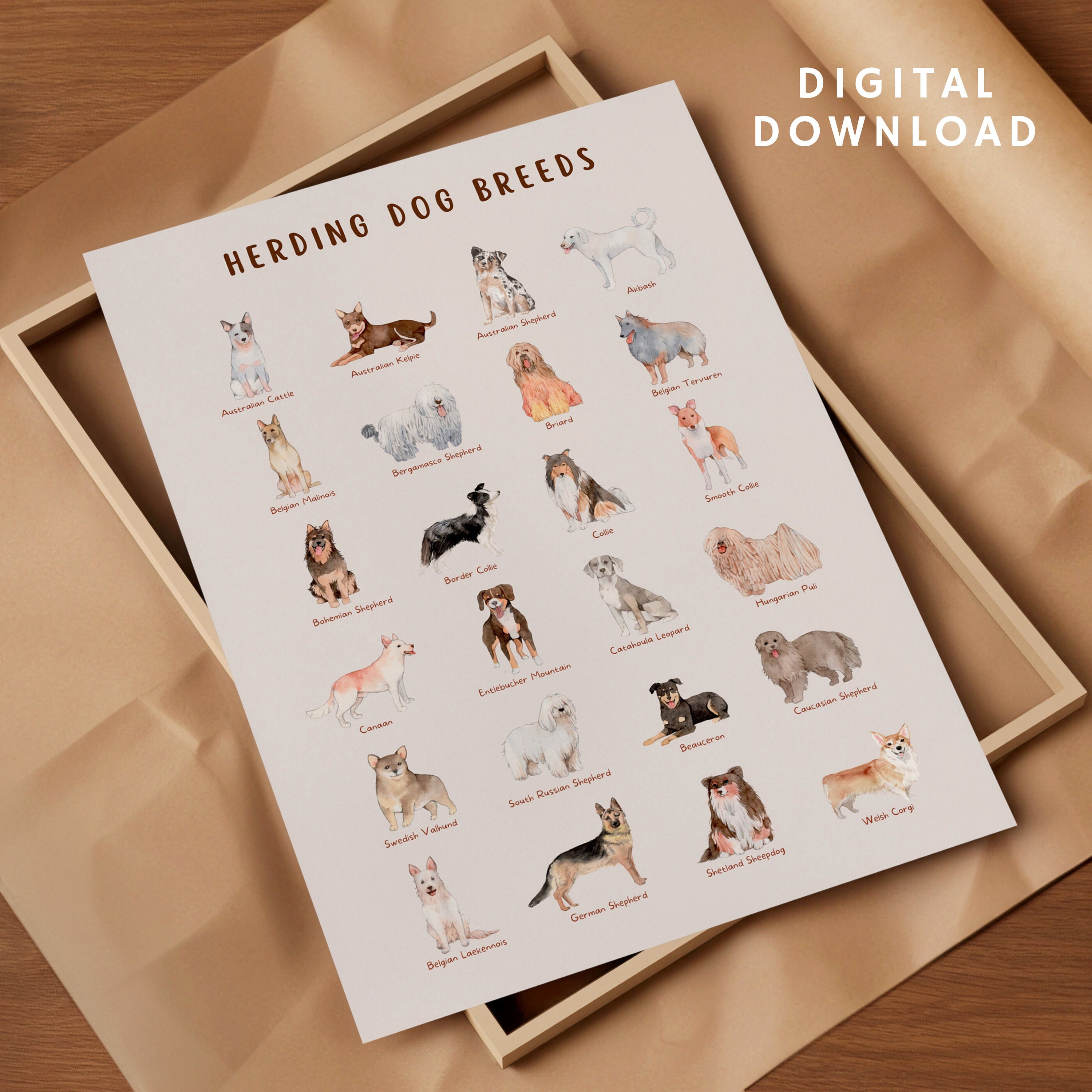 Herding Dog Breeds Poster, Downloadable Prints, Gift for Dog Lovers ...