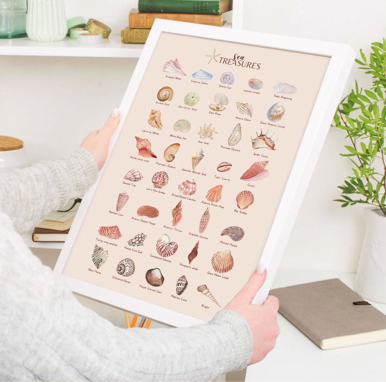 Digital Download Watercolor Seashell Print - Seashell Collection With ...