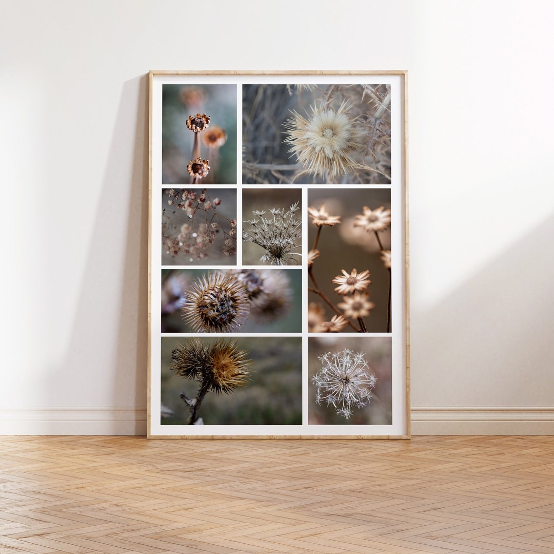 Digital Printable Flower Poster Downloadable Botanical - Etsy