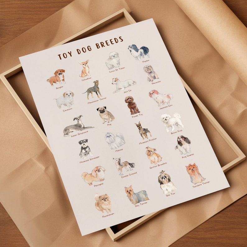 Digital Download Toy Dog Breeds Poster, Breeds Chart Print, Printable ...