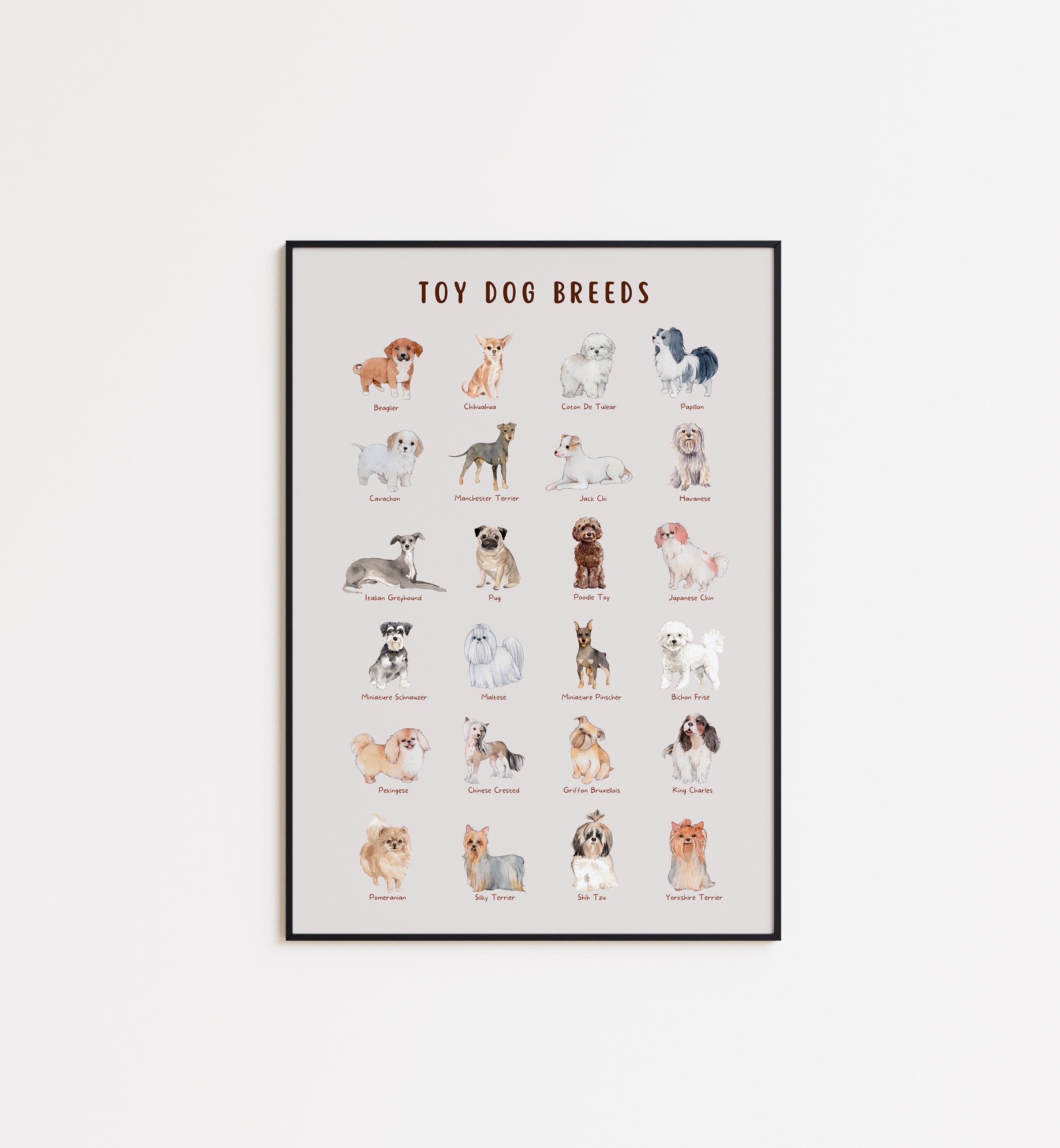 Digital Download Toy Dog Breeds Poster, Breeds Chart Print, Printable ...