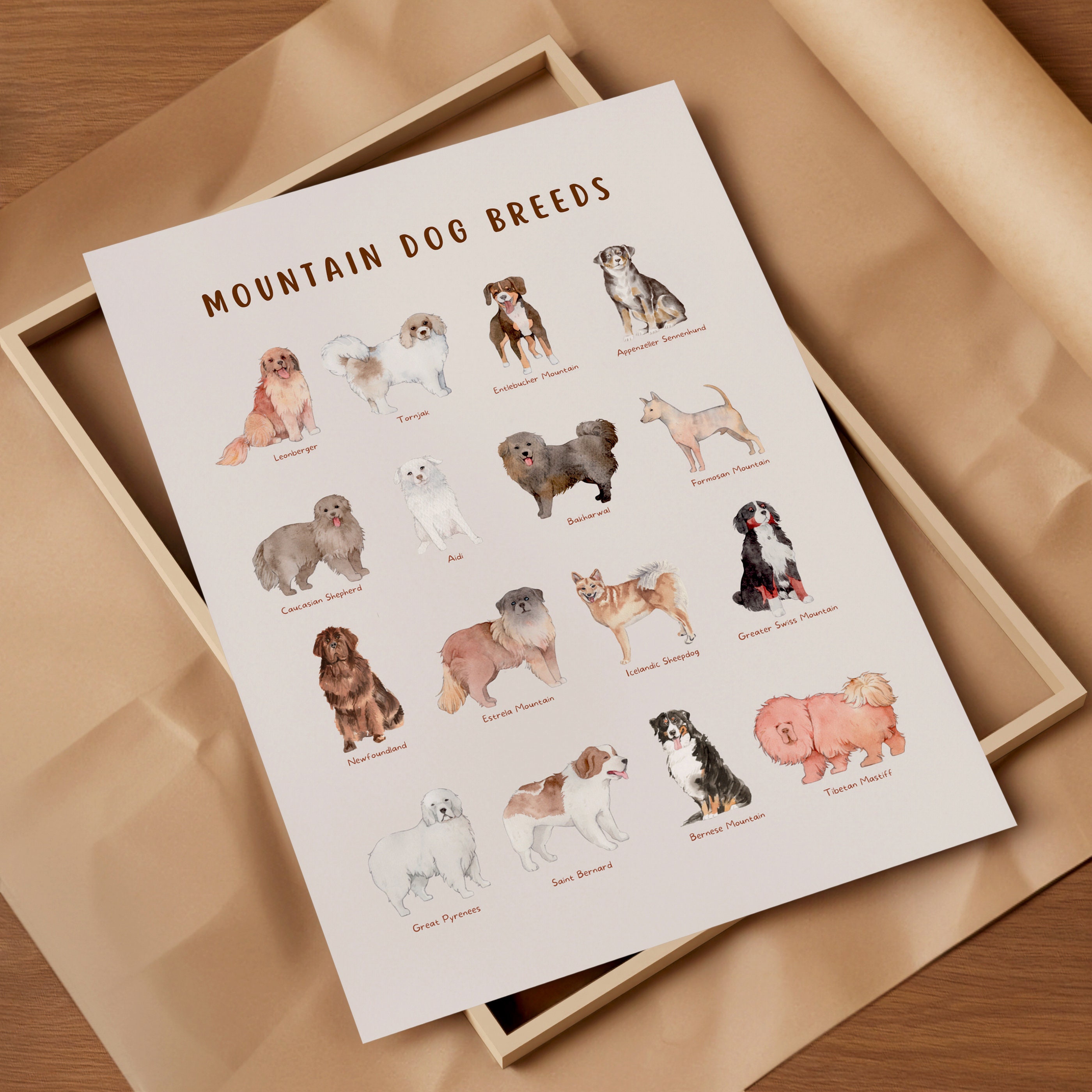 Digital Download Mountain Dog Breeds Print, Dog Decor, Breeds Chart ...