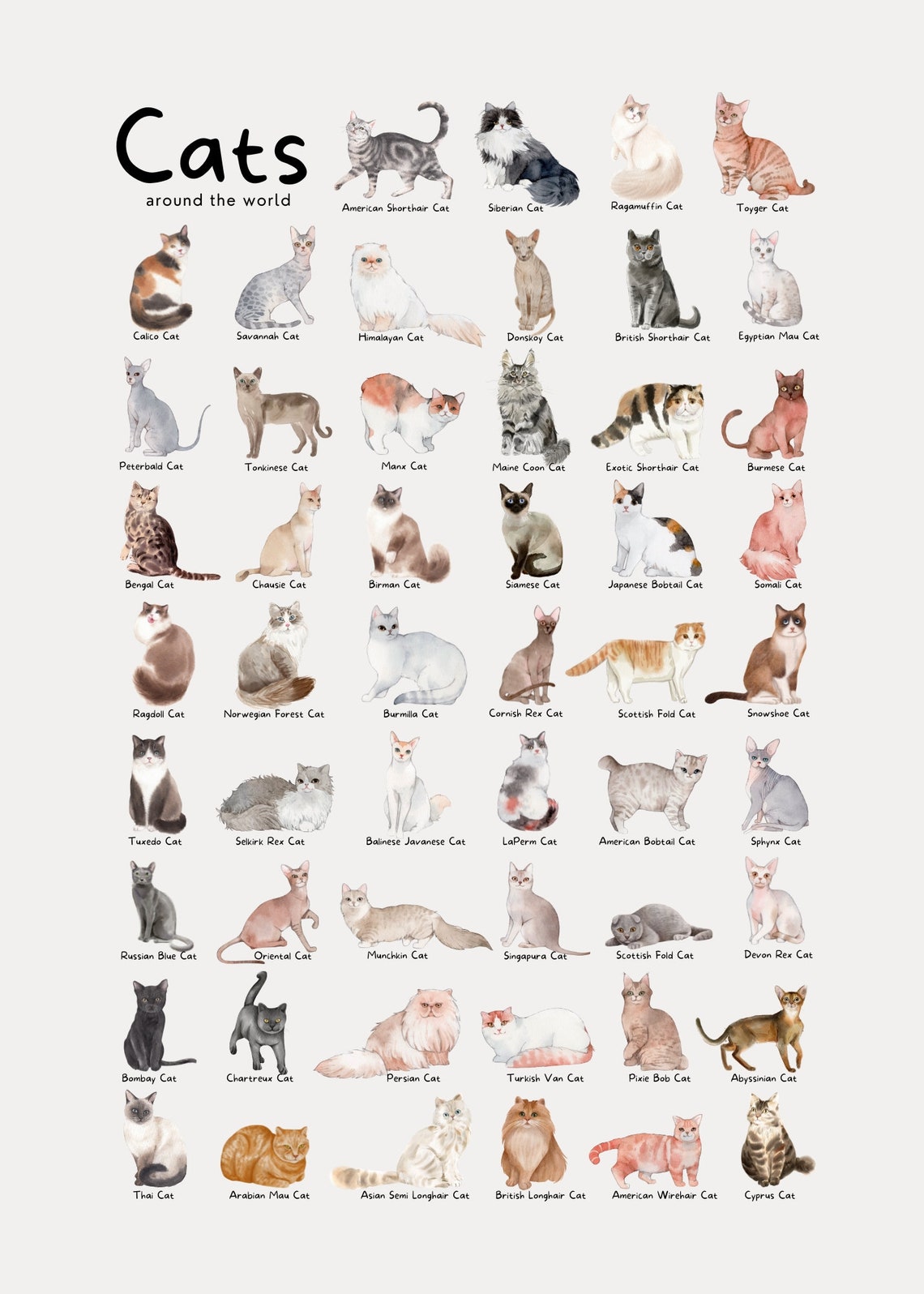 Downloadable Cat Breeds Printable Poster, 52 Cat Breeds Infographic ...