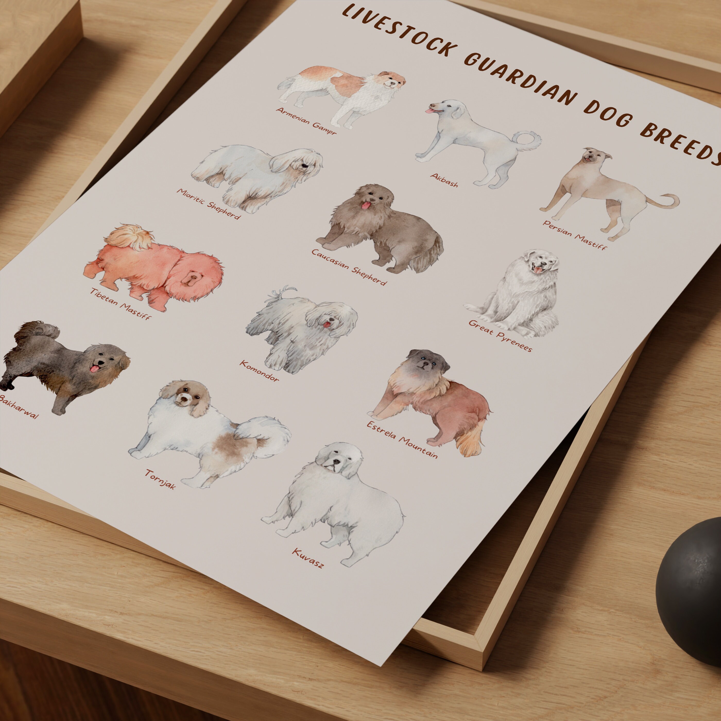 Types of Livestock Guardian Dog Breeds Poster, Gift for Dog Lovers, Dog ...