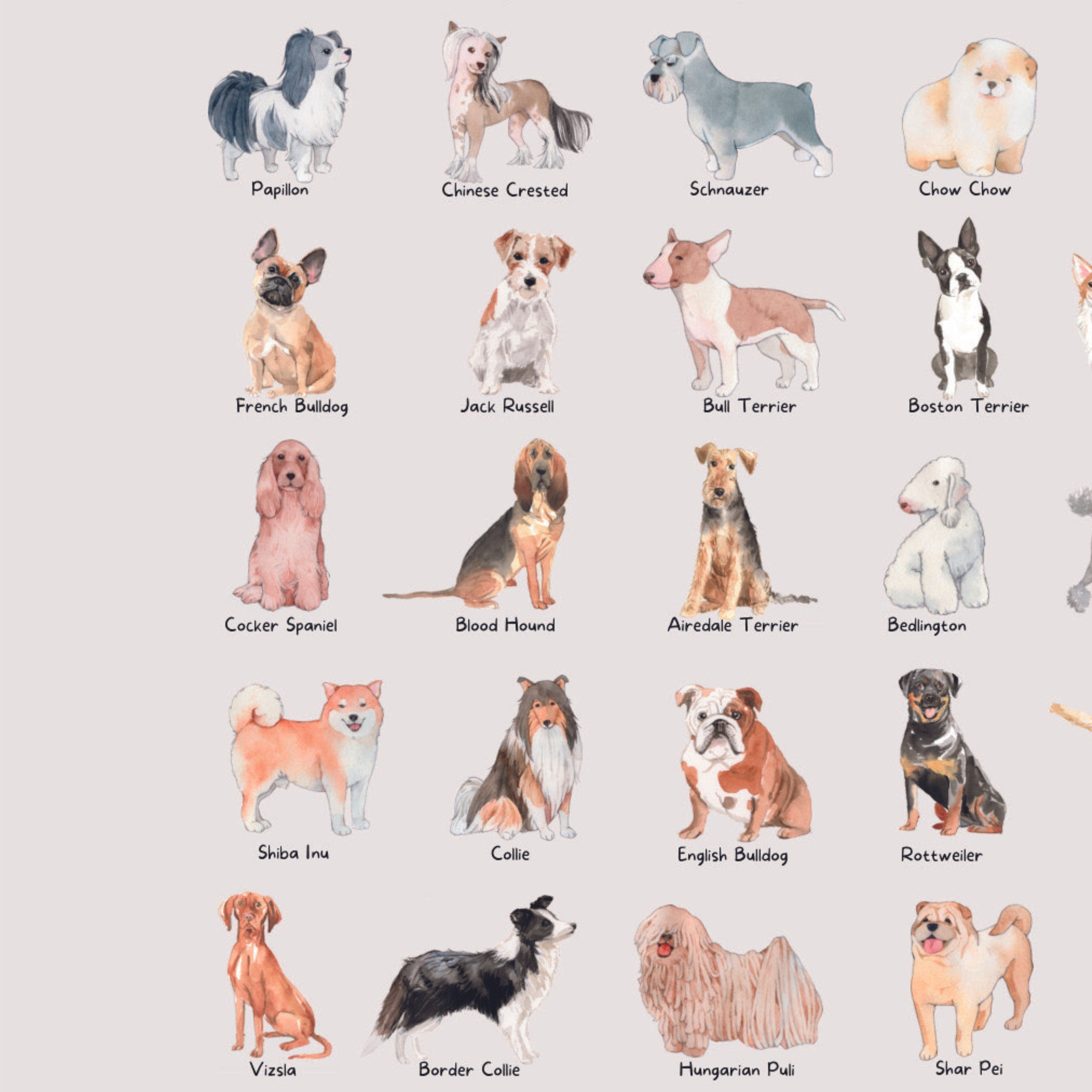 Digital Download Watercolor Dog Breed Poster - 52 Breeds - Printable ...