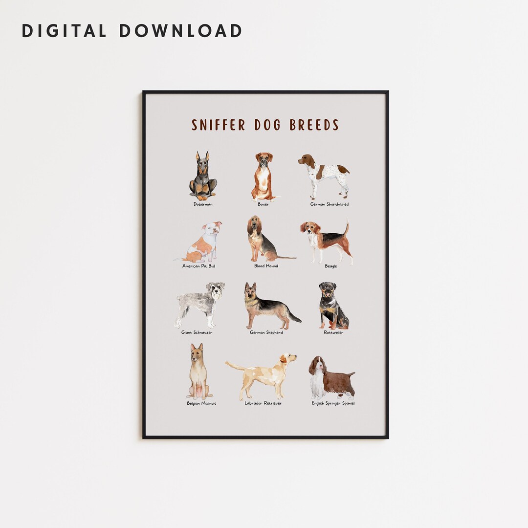 Instant Download Watercolor Sniffer Dog Breed Poster, Education Posters ...