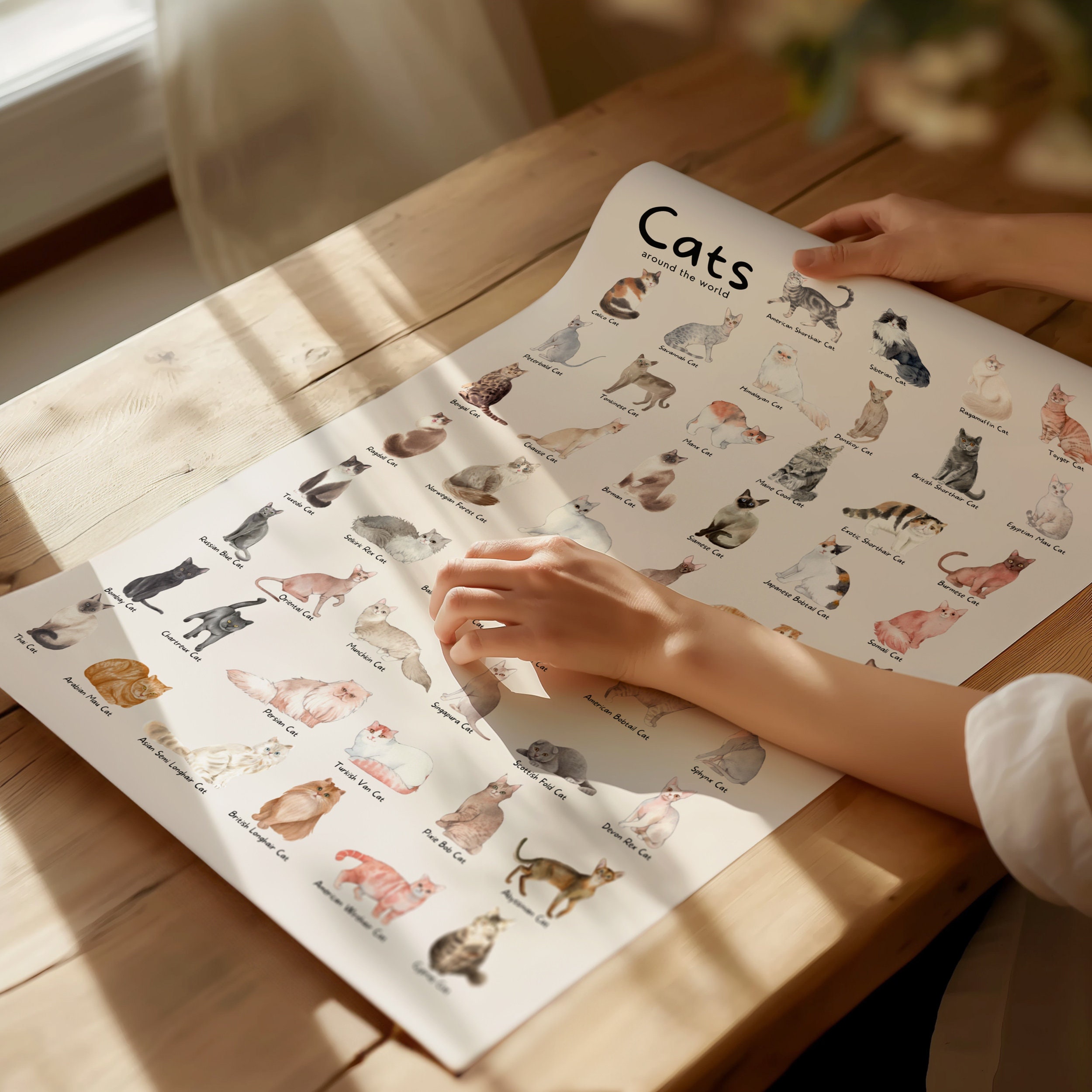 Downloadable Cat Breeds Printable Poster, 52 Cat Breeds Infographic ...