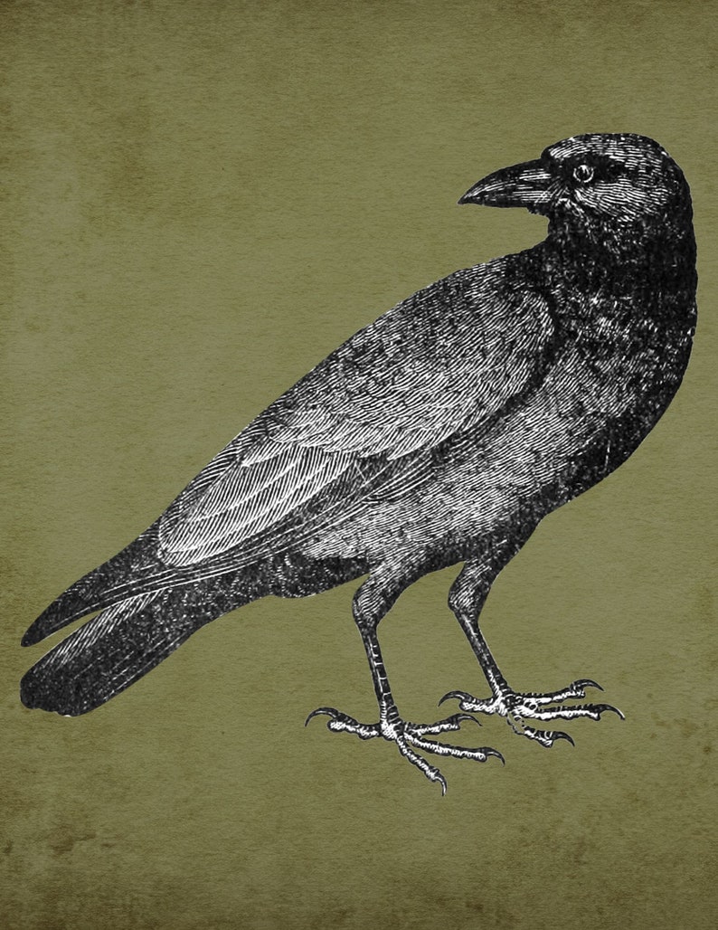 Gothic Crow Printable Wall Art, Dark Academia Crow Print, Witchy ...