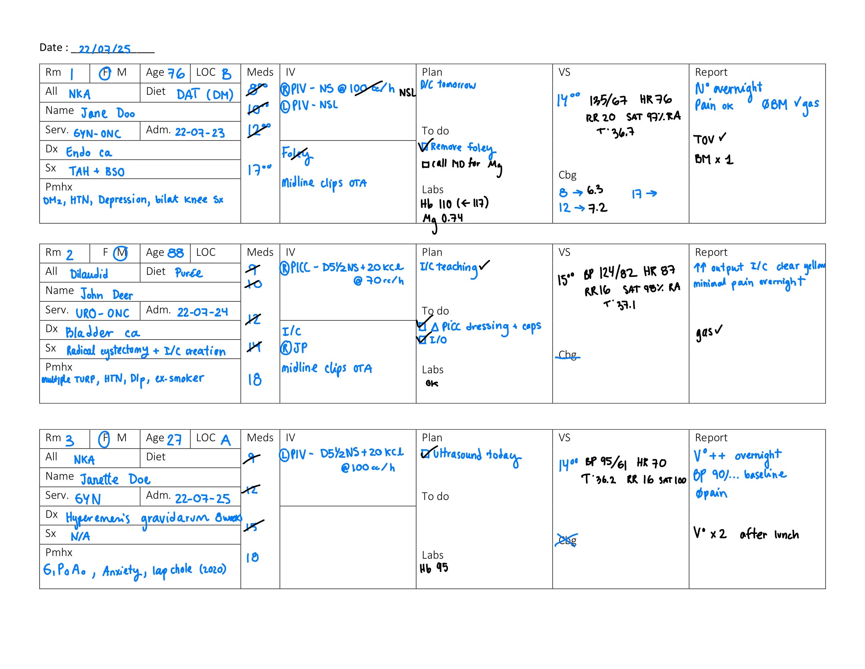Nurse Worksheet / Report Sheet / Plan De Travail Pour Infirmière - Etsy